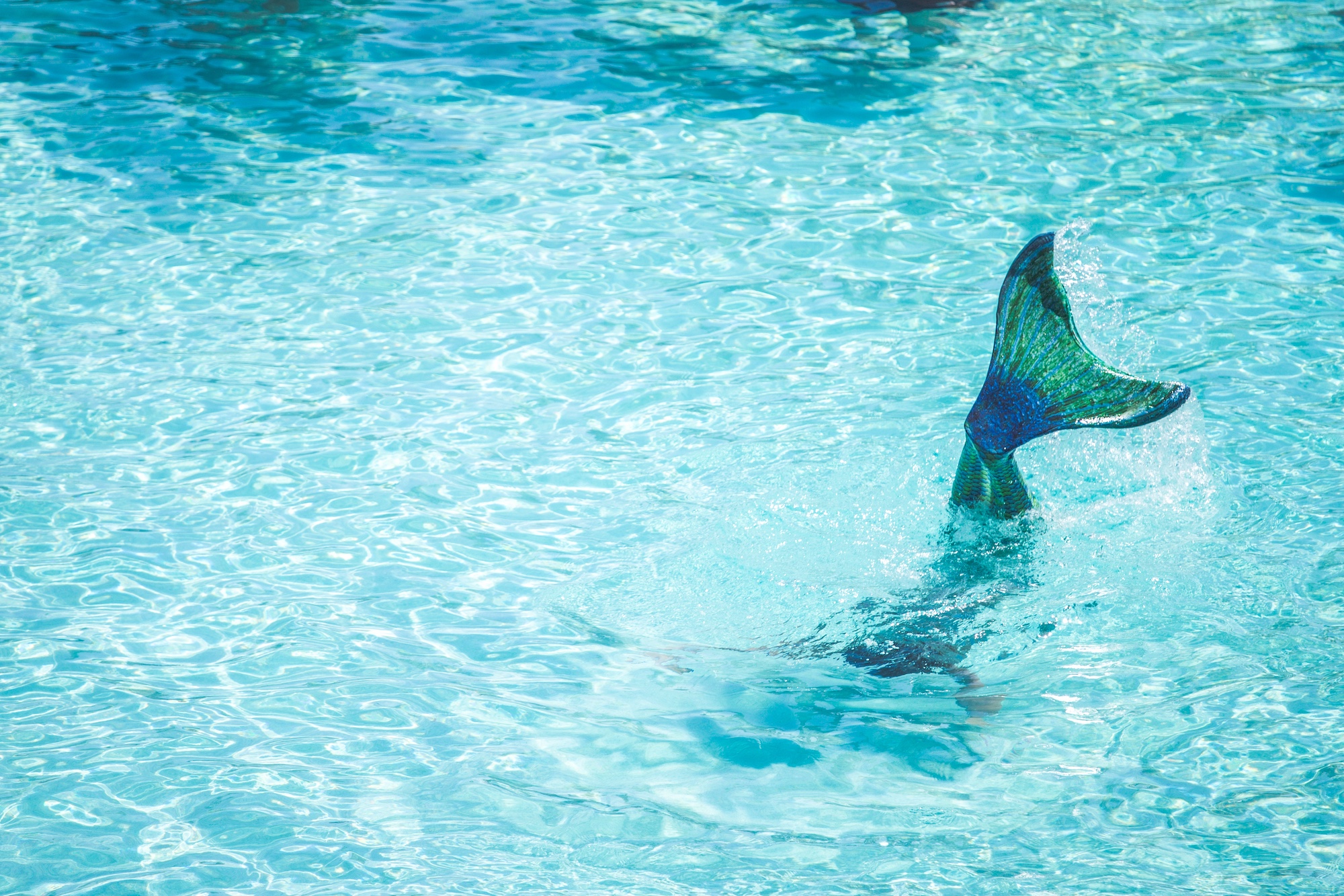 Mermaid Tasha - Commander Hotel & Suites